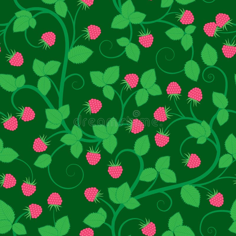 Seamless Pattern with Raspberry Stock Vector - Illustration of berry ...