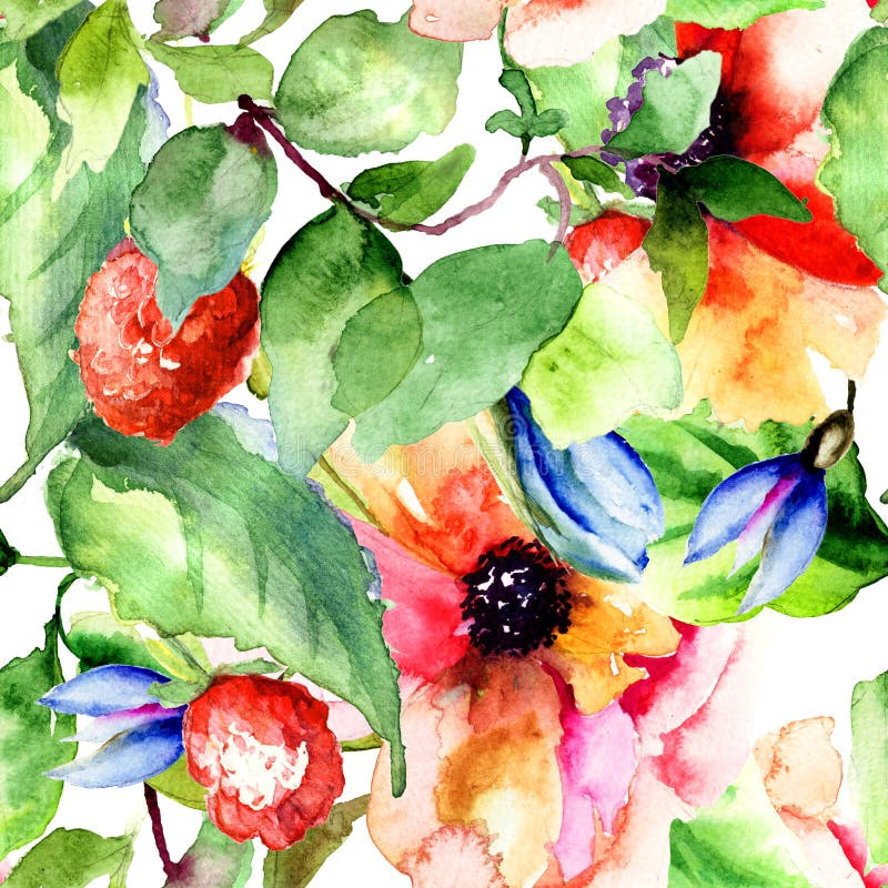 Raspberry, Watercolor Illustration Stock Illustration - Illustration of ...