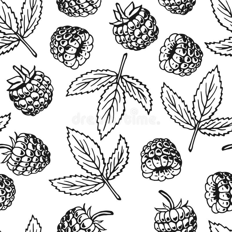 Seamless Pattern with Raspberry. Hand Drawn Illustration Converted To ...