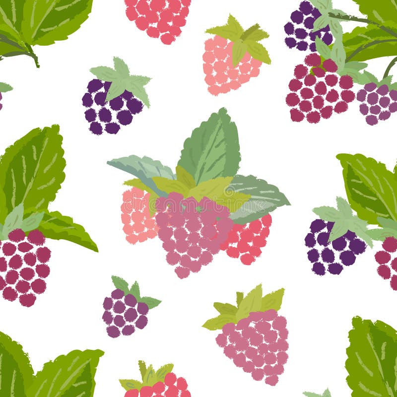 Seamless Pattern of Raspberry Stock Vector - Illustration of branch ...