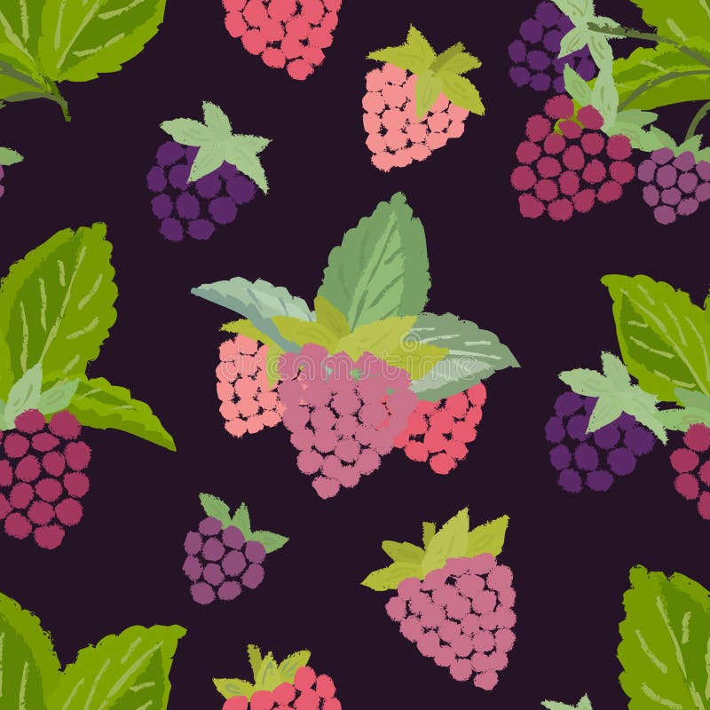 Seamless Pattern of Raspberry Stock Vector - Illustration of forest ...
