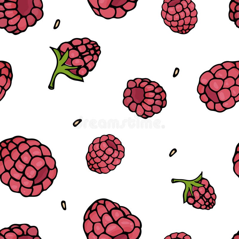 Seamless Pattern with Raspberry. Vector Illustration in Sketch Style ...