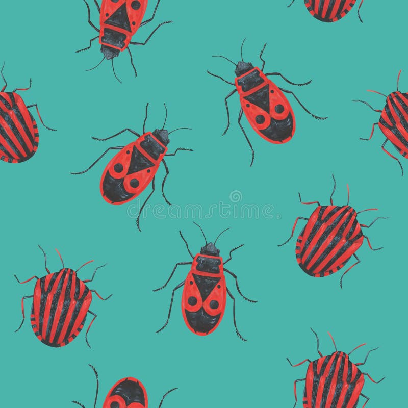 Solider Bugs Stock Illustrations – 4 Solider Bugs Stock Illustrations, Vectors & Clipart ...