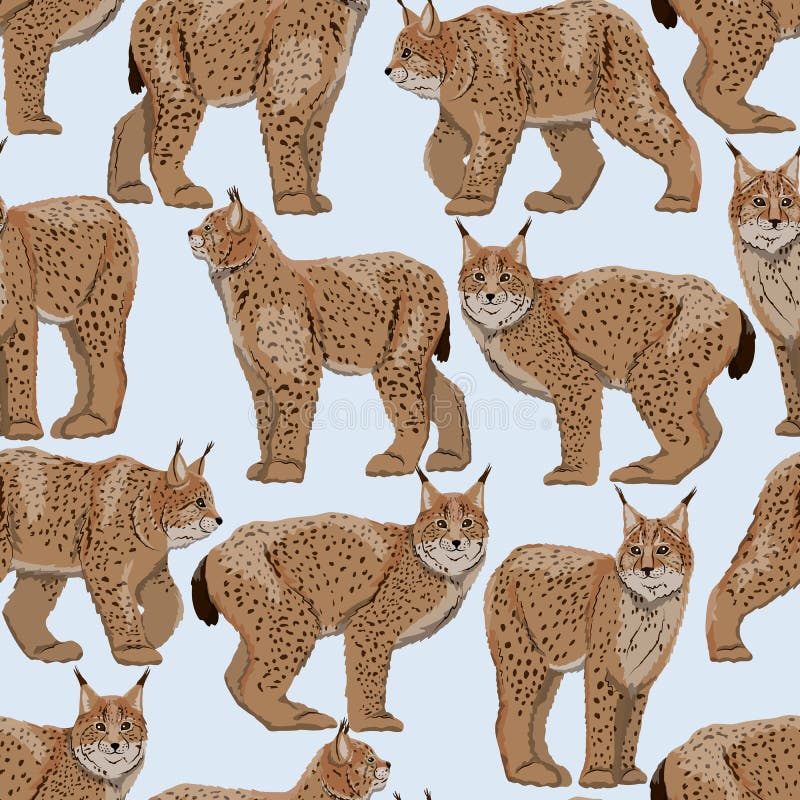 Pattern Lynx Stock Illustrations – 507 Pattern Lynx Stock Illustrations ...