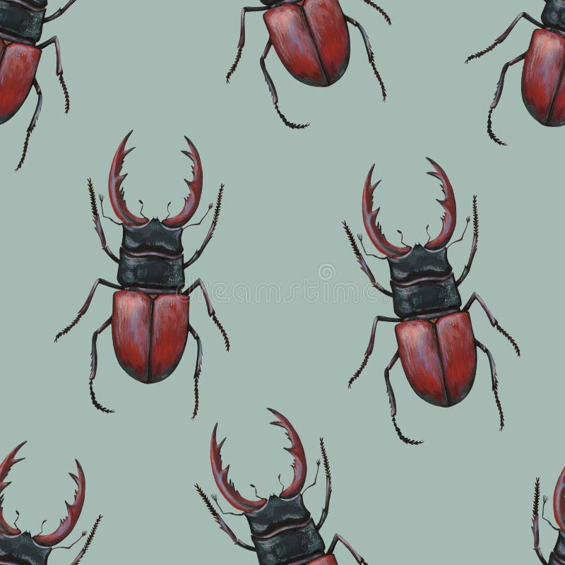 Seamless Pattern with Realistic Stag Beetles, Lucanus Cervus. Stock ...