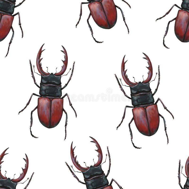 Seamless Pattern with Realistic Stag Beetles, Lucanus Cervus. Stock ...