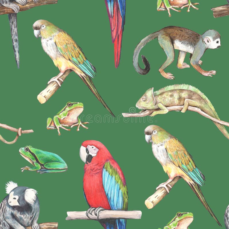 Seamless Pattern with Realistic Tropical Animals. Pencil Hand Drawing ...