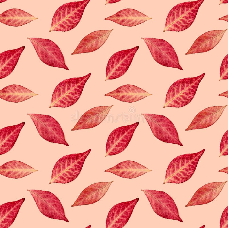 Seamless Pattern: Red Autumn Leaves Stock Photo - Image of beautiful ...
