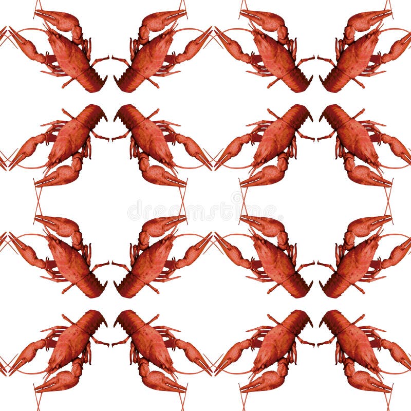 Seamless Pattern with Red Crayfish on White Background. Endless ...