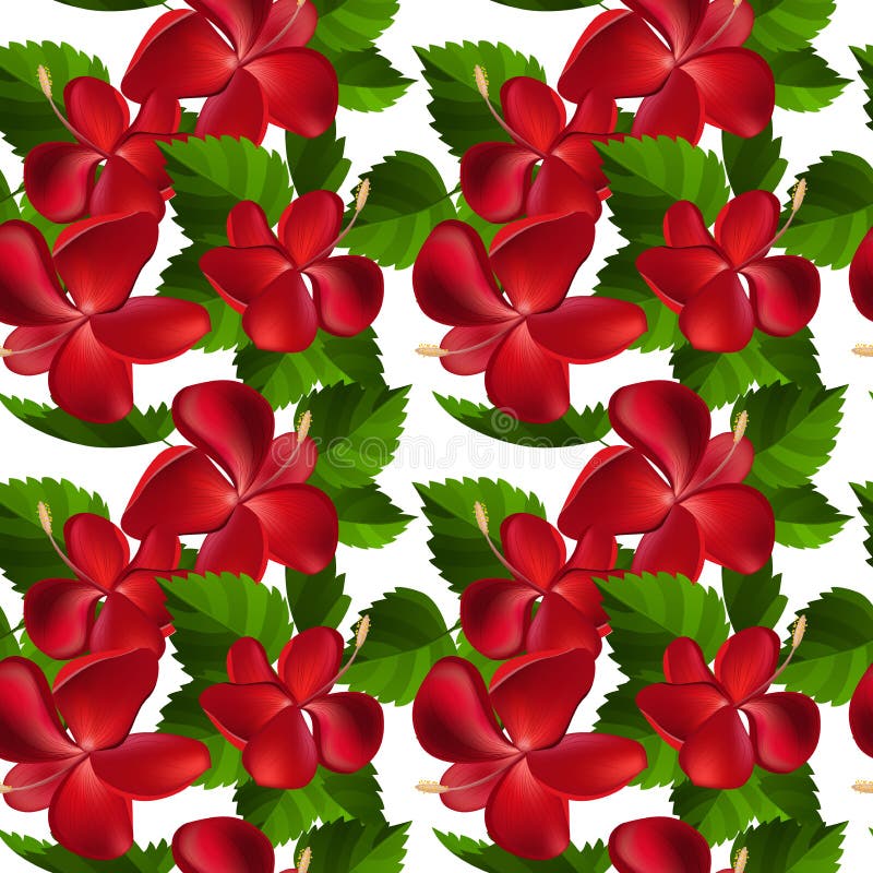 Seamless Pattern with Red Hibiscus Flowers. Pretty Endless Texture for ...