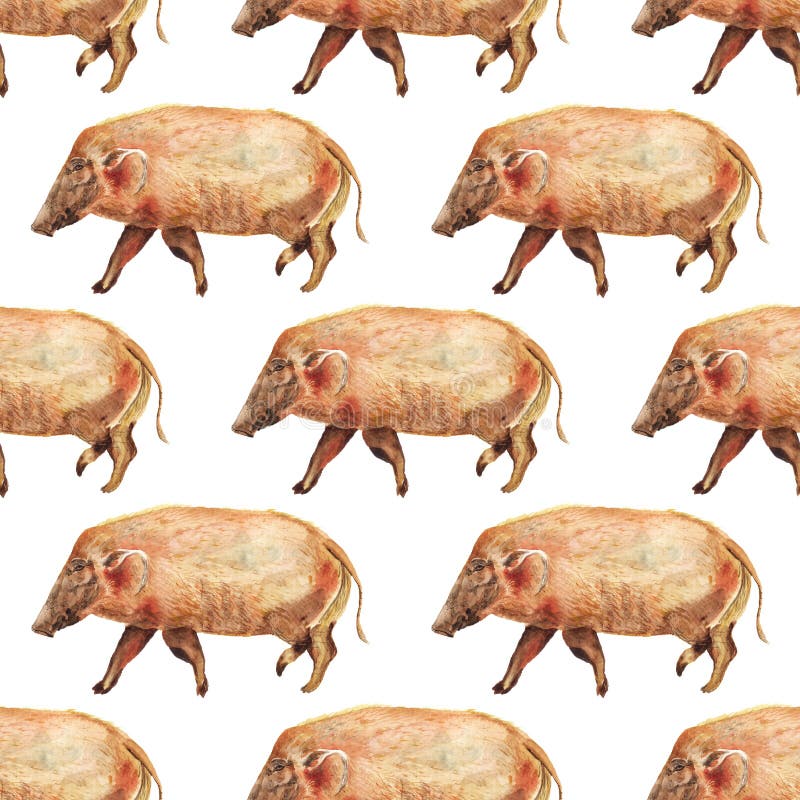 Seamless Pattern with Red River Hog Stock Illustration - Illustration ...