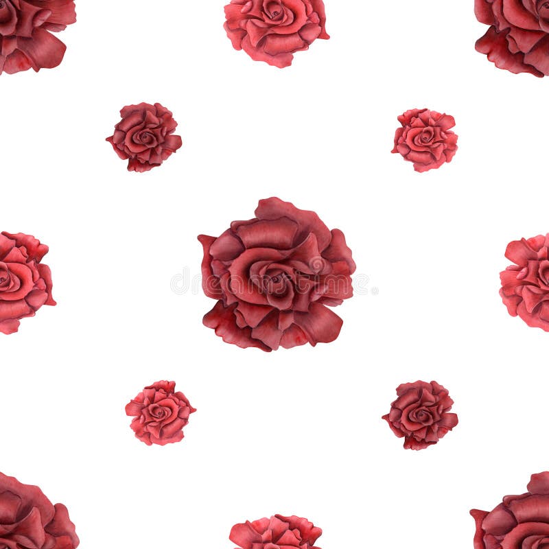 Seamless Pattern of Red Roses Scattered on White Background. Classic ...