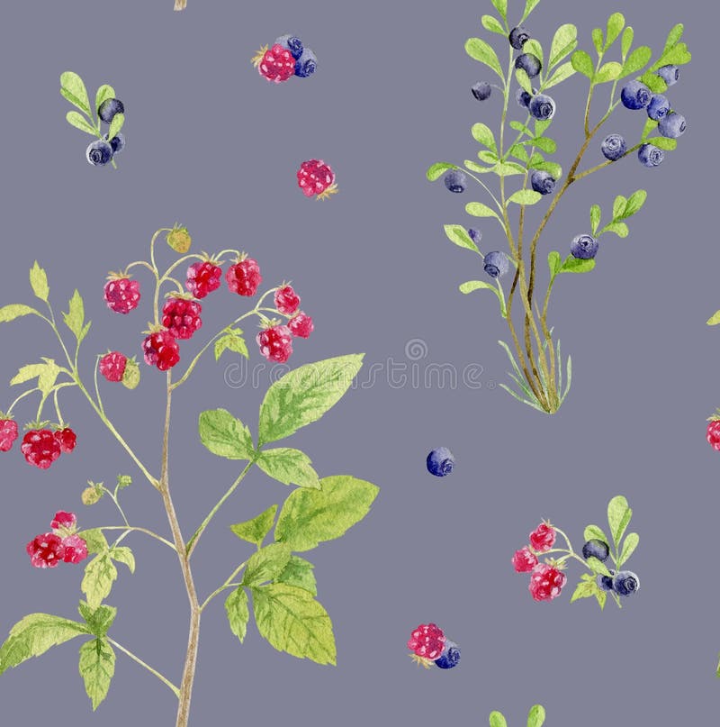 Seamless Pattern Repeated Tile of Watercolor Berries Stock Illustration ...