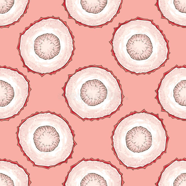 Seamless Pattern with Ripe Lychee Stock Illustration - Illustration of ...