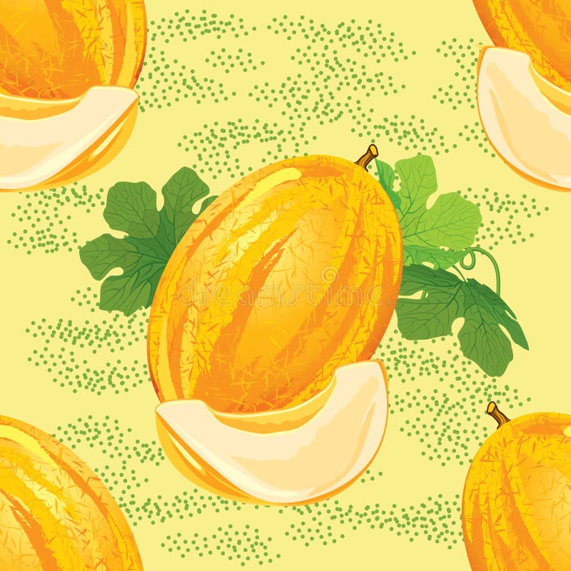 Seamless Pattern of Ripe Melon Stock Vector - Illustration of harvest ...