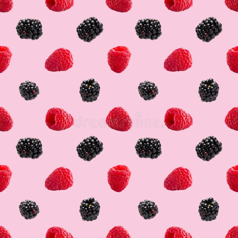 Seamless Pattern with Raspberry and Bramble. Pattern for Package Design ...