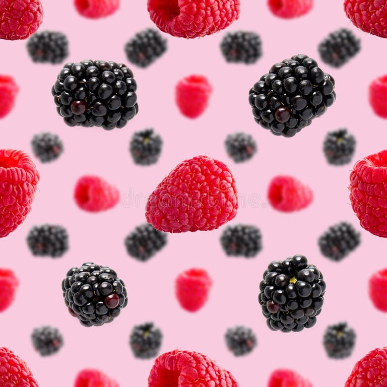 Seamless Pattern with Raspberry and Bramble. Pattern for Package Design ...