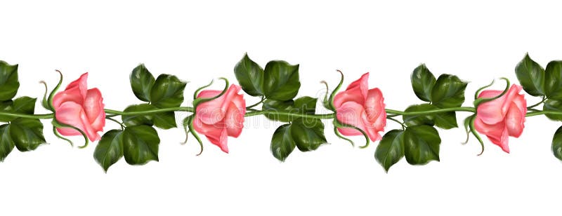 Seamless Pattern with Rose Flowers. Floral Seamless Border Stock Photo ...