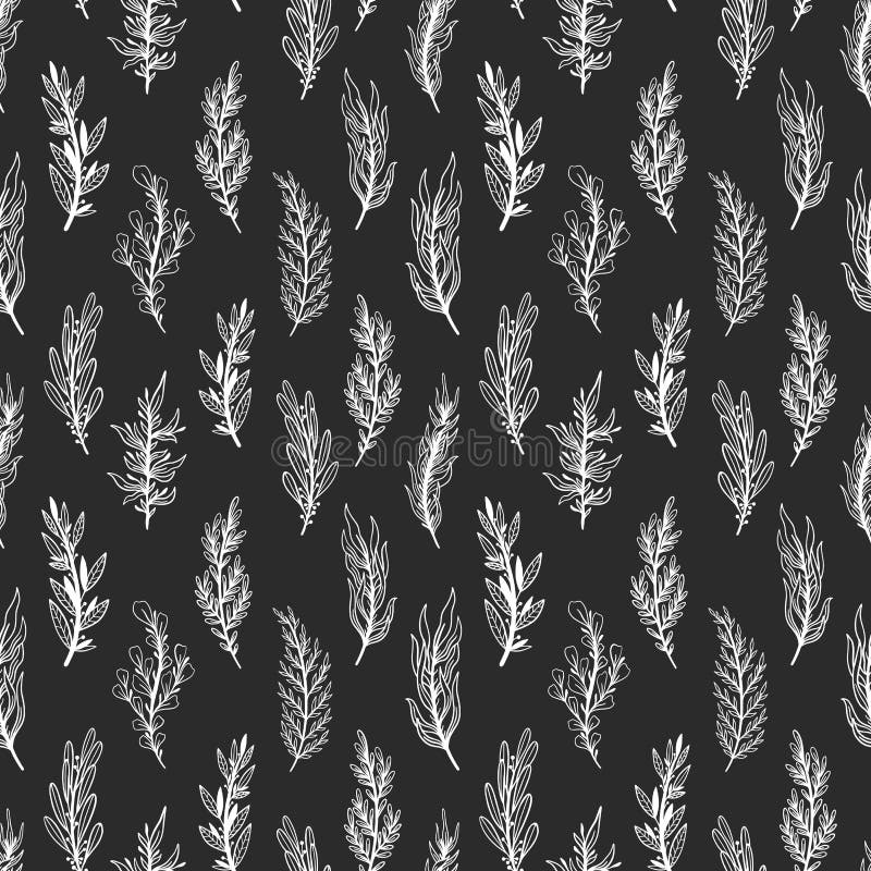 Seamless Pattern Rustic Branch Hand Draw Style. Floral Drawing ...