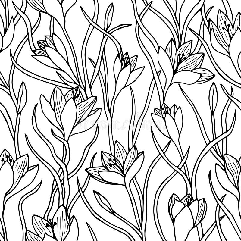 Outline Saffron Stock Illustrations – 734 Outline Saffron Stock ...