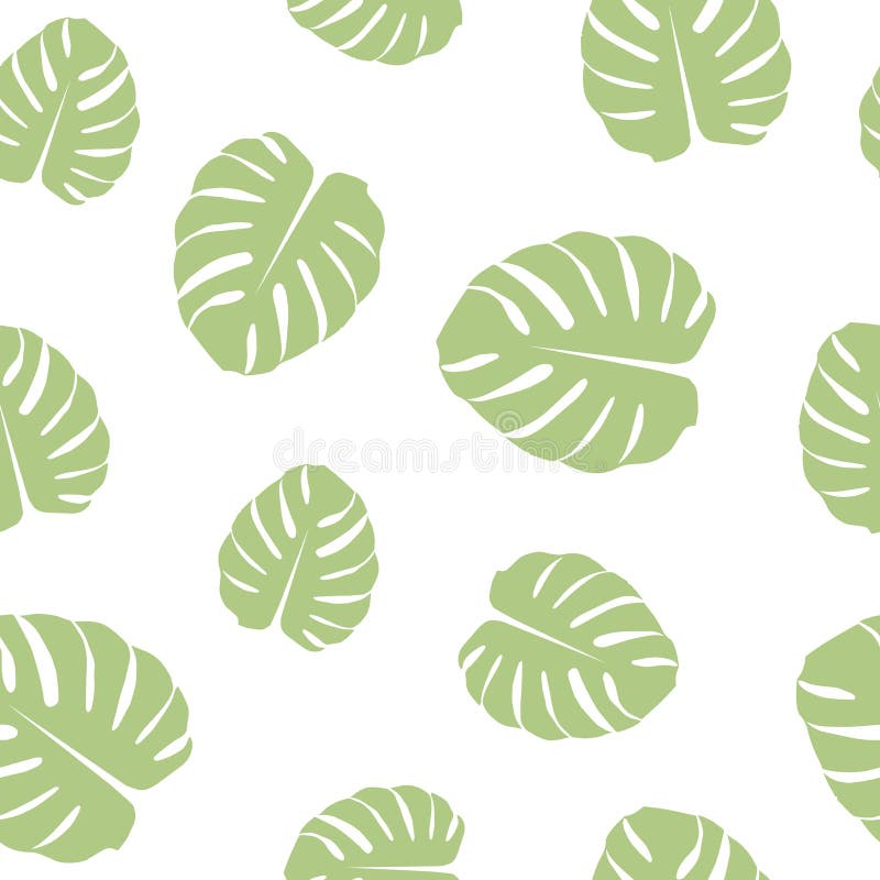 Seamless Pattern With Sage Green Monstera Leaves On White Background