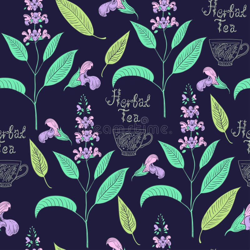 Seamless Pattern with Sage Plants and Flowers. Stock Vector ...