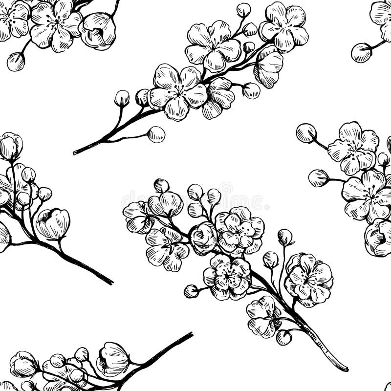 Seamless Pattern with Sakura Blooming Branches. Black and White Outline ...