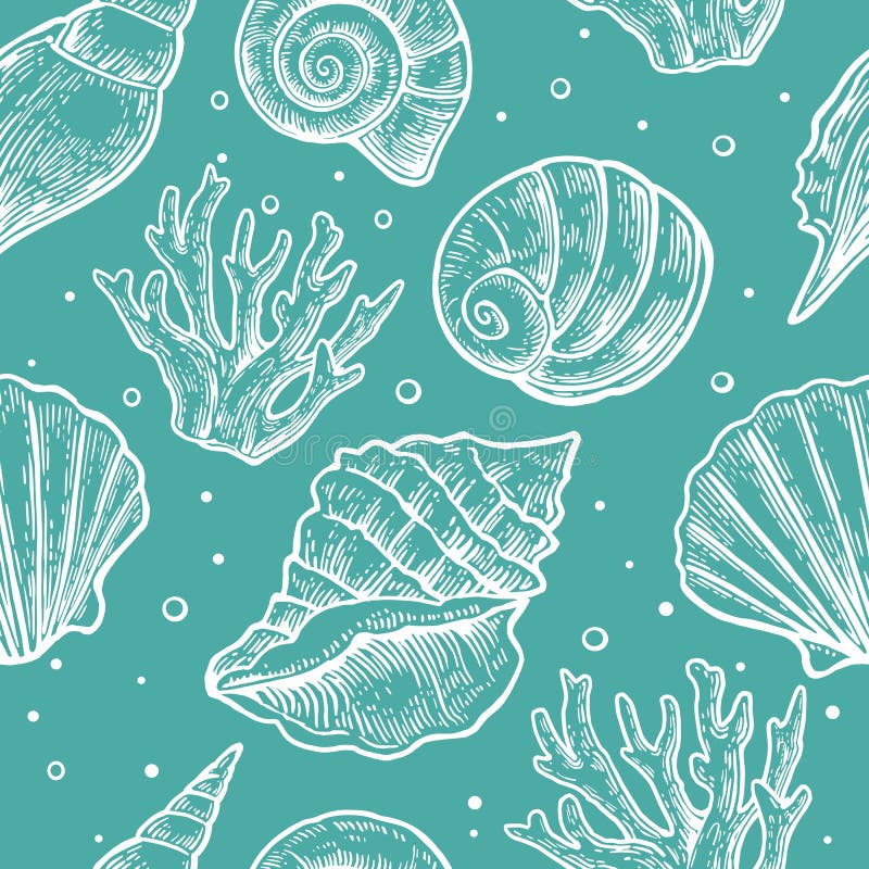 Seamless Pattern Sea Shell. Vector Engraving Vintage Illustrations ...