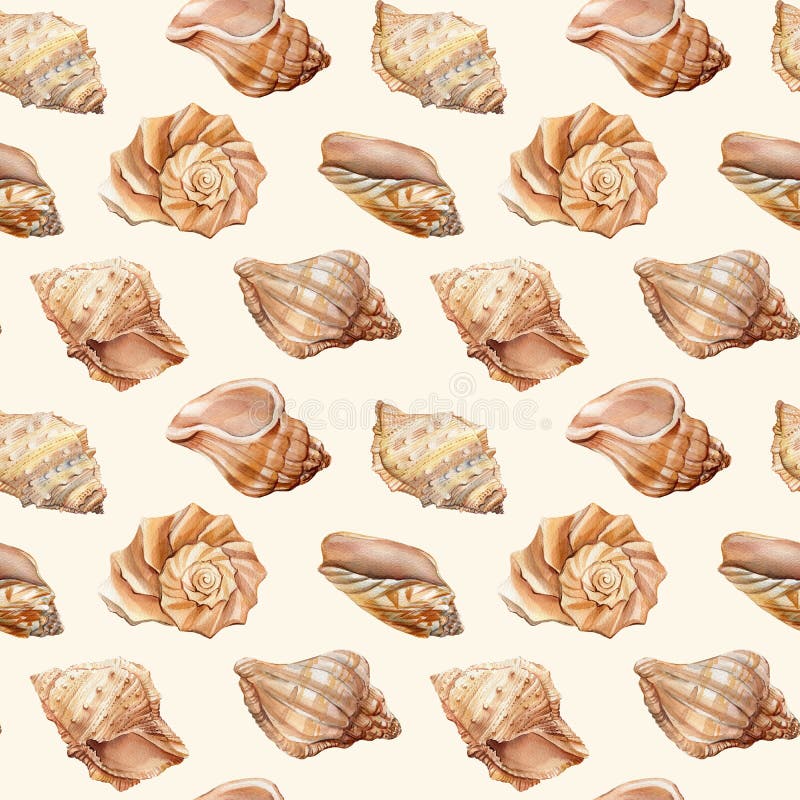 Seamless Pattern with Sea Shells on Beige Background. Hand Drawn ...