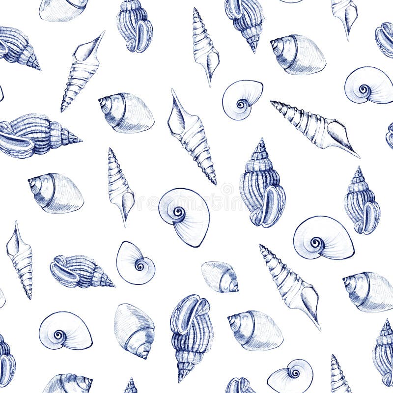 Seamless Pattern of Sea Shells. Manual Graphics. Design for Backgrounds ...