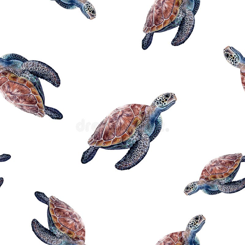 Watercolor Hand Drawn Sea Turtle Isolated Seamless Pattern. Stock ...