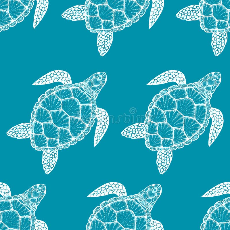 Turtle Top View Stock Illustrations – 973 Turtle Top View Stock ...