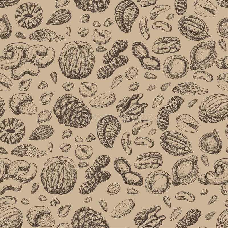 Seamless Pattern with Seeds and Nuts Stock Vector - Illustration of ...