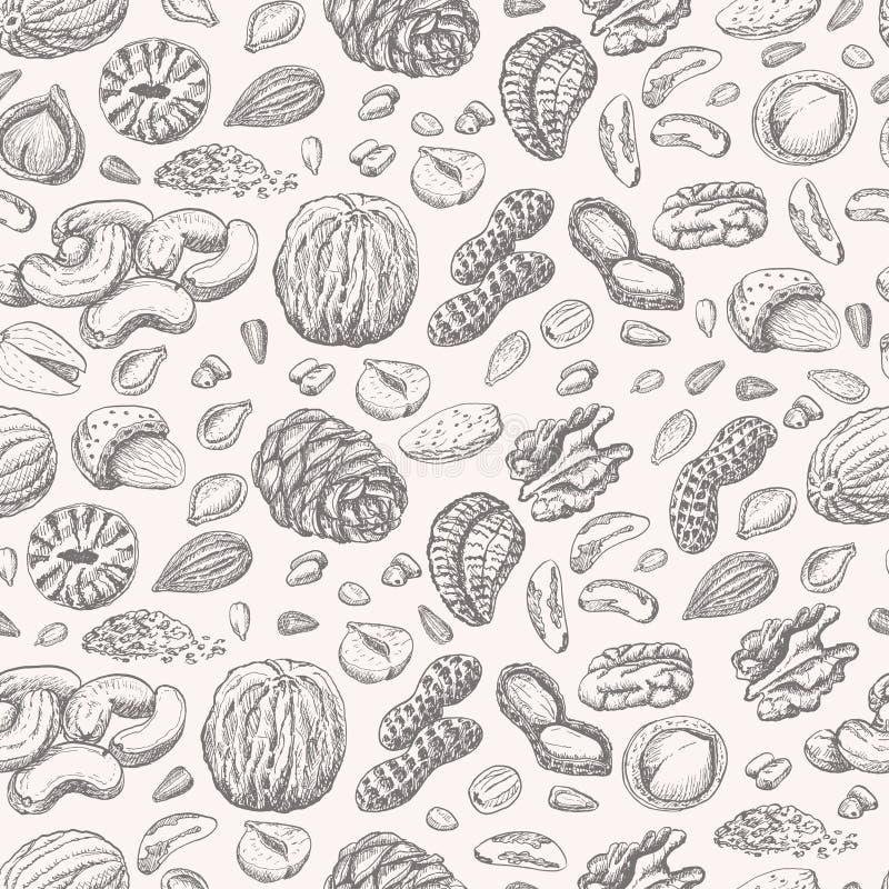 Seamless Pattern With Seeds And Nuts On A White Background Stock Vector ...