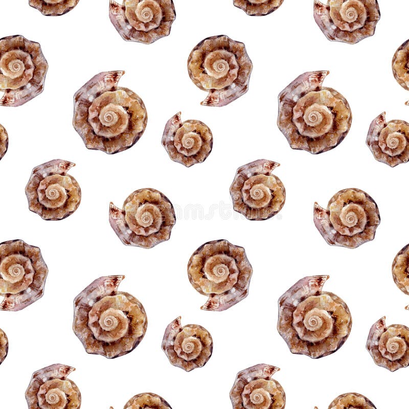 Watercolor Hand Drawn Shell Isolated Seamless Pattern. Stock ...