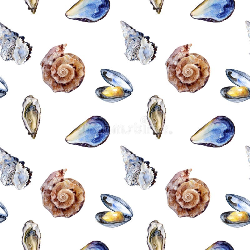 Watercolor Hand Drawn Shell, Oyster Isolated Seamless Pattern. Stock ...