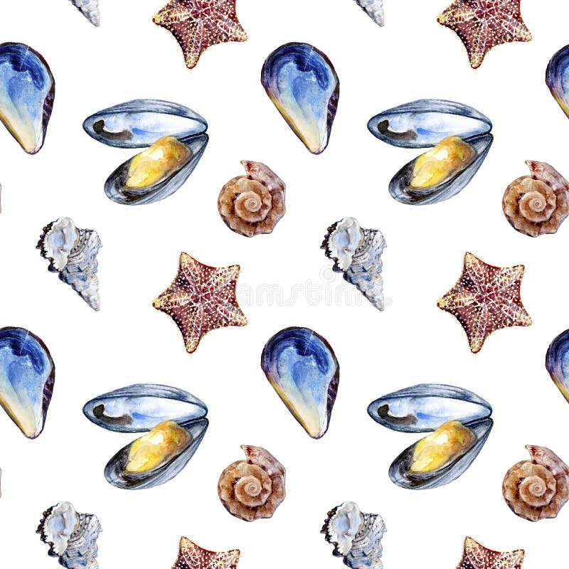 Watercolor Hand Drawn Shell, Oyster, Starfish Isolated Seamless Pattern ...
