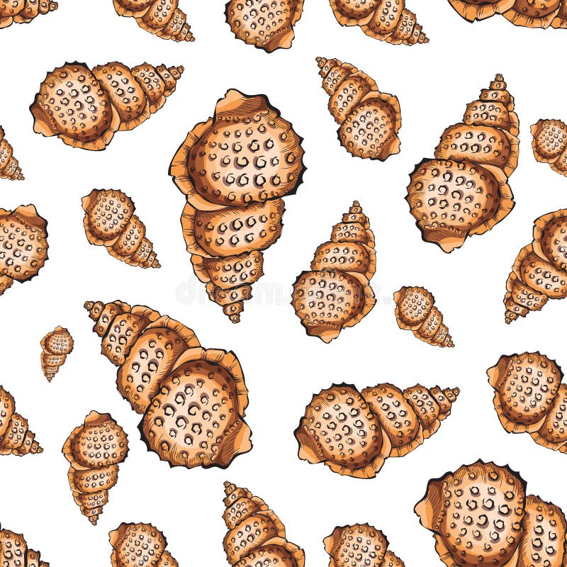 Seamless Pattern of Shells of Different Colors Stock Vector ...