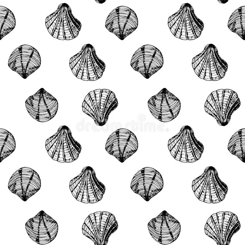 Seamless Pattern with Shells, Hand-drawn. Background with Seashells ...