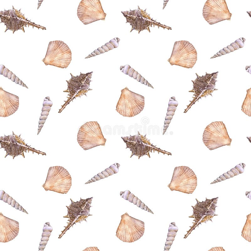 Seamless Pattern with Shells Stock Illustration - Illustration of decor ...