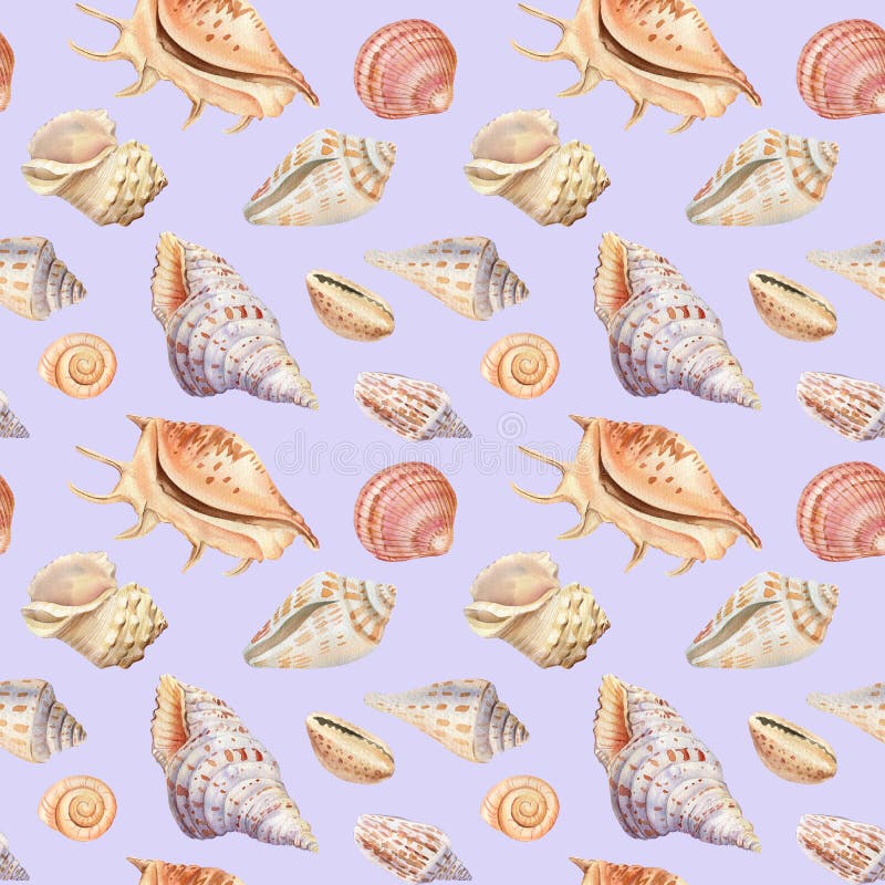 Seamless Pattern with Shells. Watercolor Texture Stock Photo - Image of ...