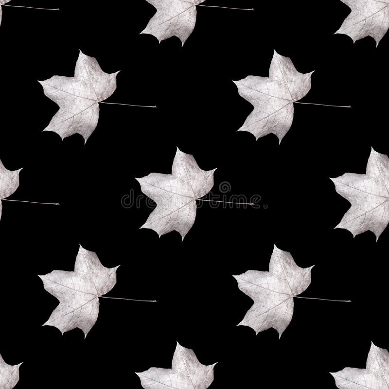 250 Silver Leaf Seamless Texture Stock Photos - Free & Royalty-Free ...