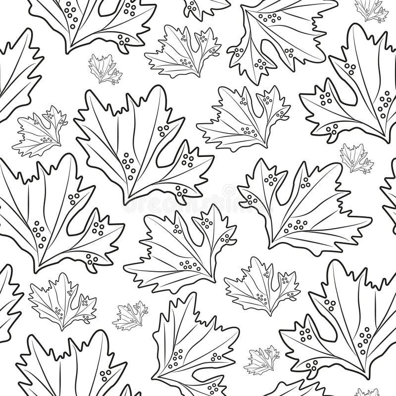 Simple Maple Leaves Vector Stock Illustrations – 4,989 Simple Maple ...