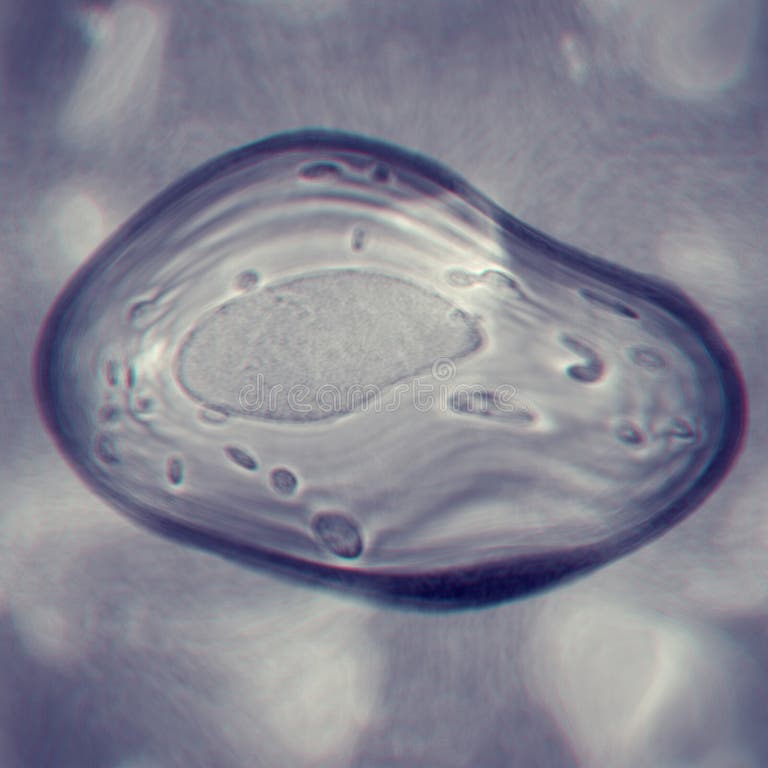 Microbiome Transparent Background Stock Illustrations – 57 Microbiome ...