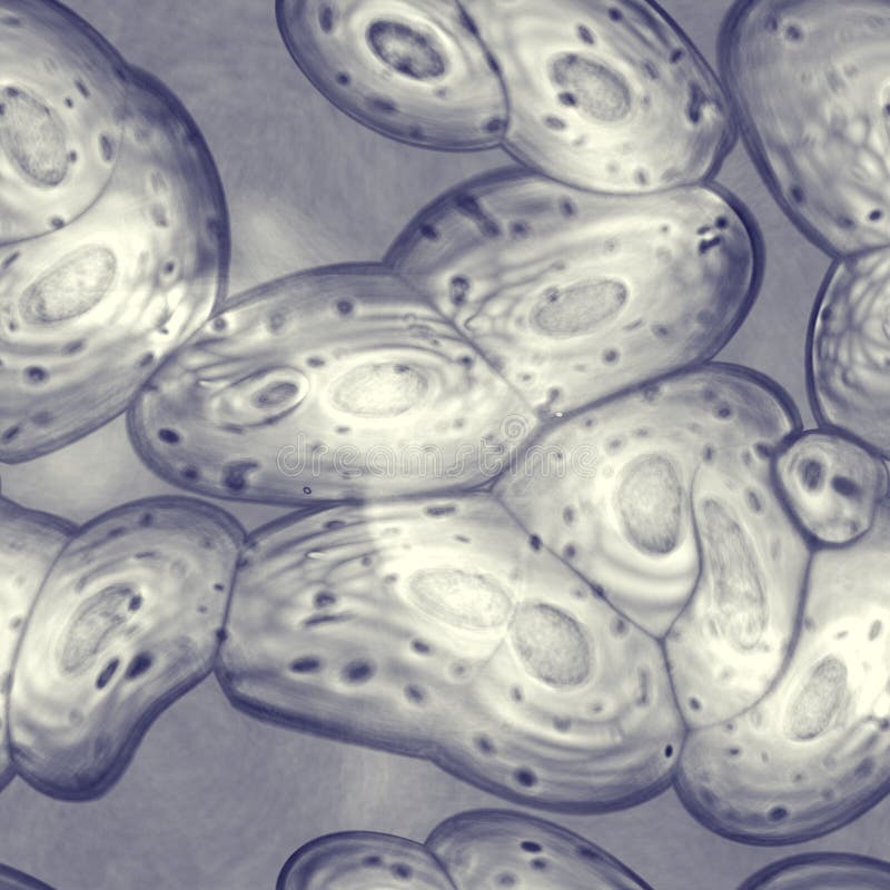 Seamless Pattern with Single Cell Microorganisms or Microbiomes on ...