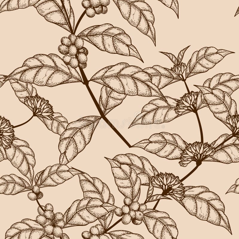 Pattern Coffee Tree Stock Illustrations – 3,543 Pattern Coffee Tree ...
