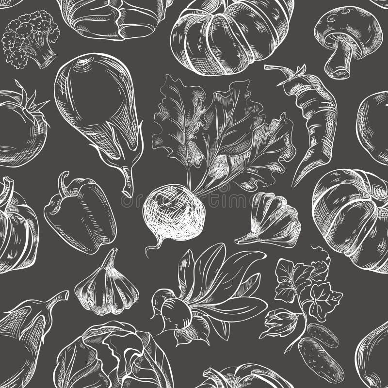 Sketch Style Fresh Vegetables. Seamless Pattern with Set of Hand Drawn ...