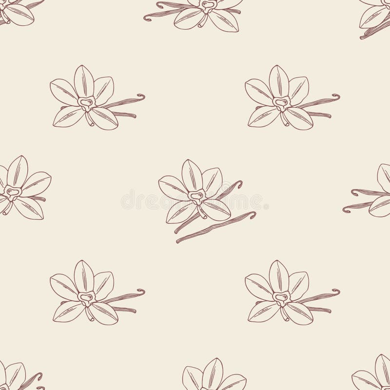 Vanilla Flower Seamless Pattern Stock Illustrations – 1,333 Vanilla ...