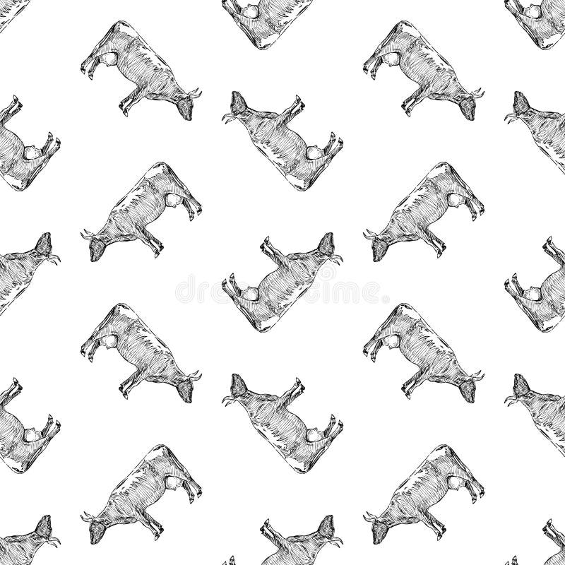 Sketches of Cows and Calf Drawn by Hand. Livestock. Cattle. Animal ...