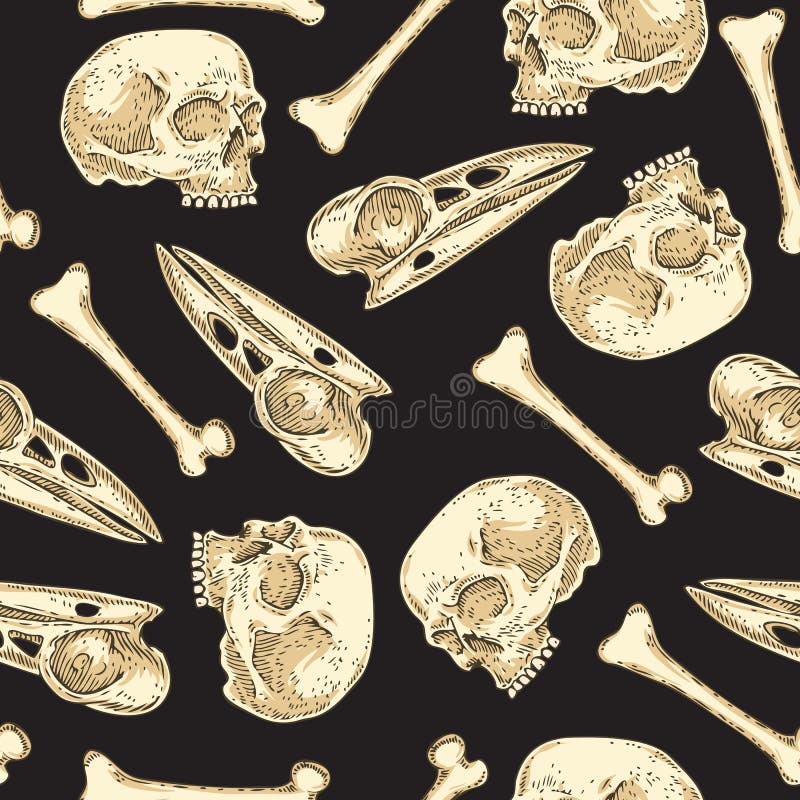Seamless Pattern with Skulls and Bones Stock Illustration ...